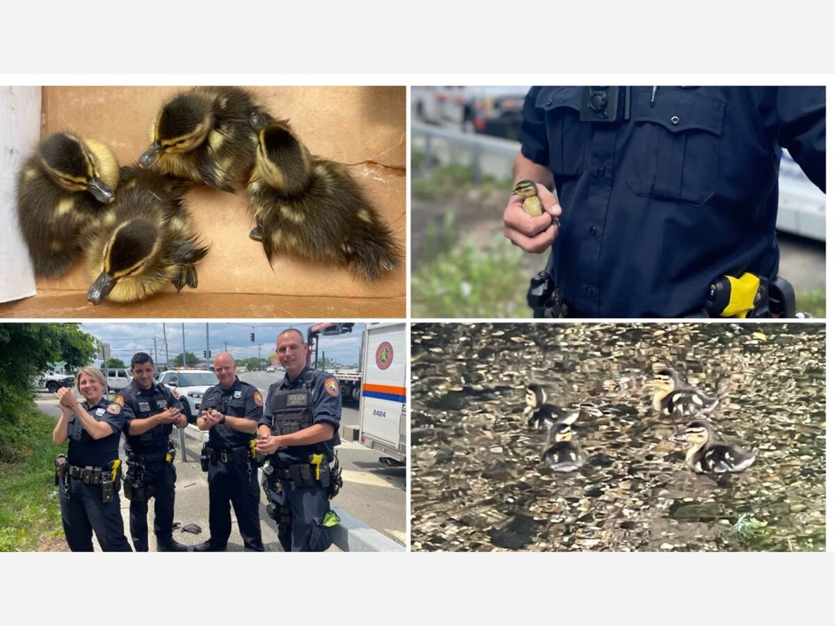 Officers on Long Island utilized the YouTube application to bring baby ...